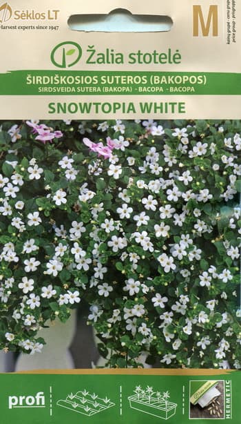 Ornamental bacopa Snowtopia White : buy sutera Seeds