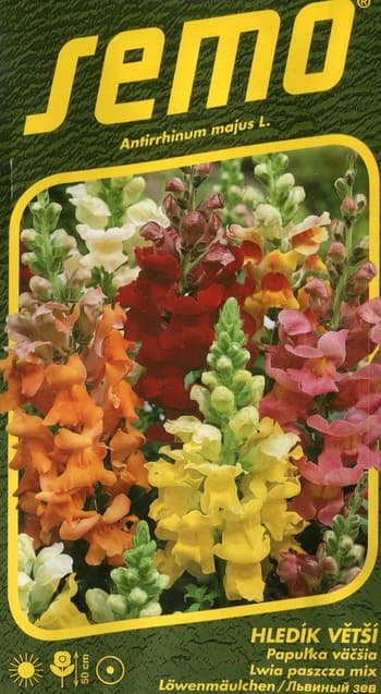 Snapdragon medium mix: flower seeds