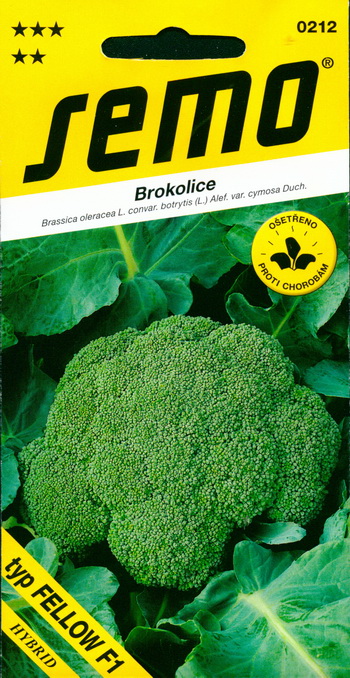 Broccoli Steel F1 : seeds by weight : wholesale
