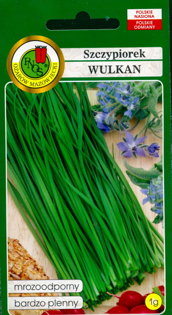 Chive Wulkan : seeds