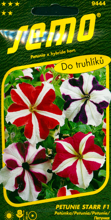 Spreading petunia Star F1 : seeds