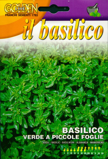 Sweet basil Verde a Piccole Foglie : small leaves : seeds