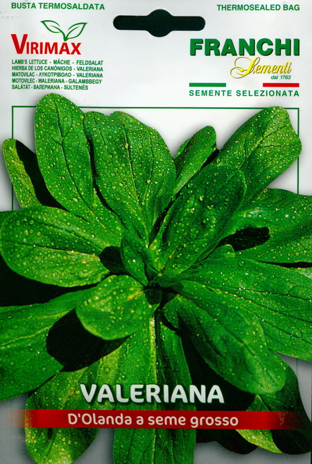 Corn salad : seeds : online sale