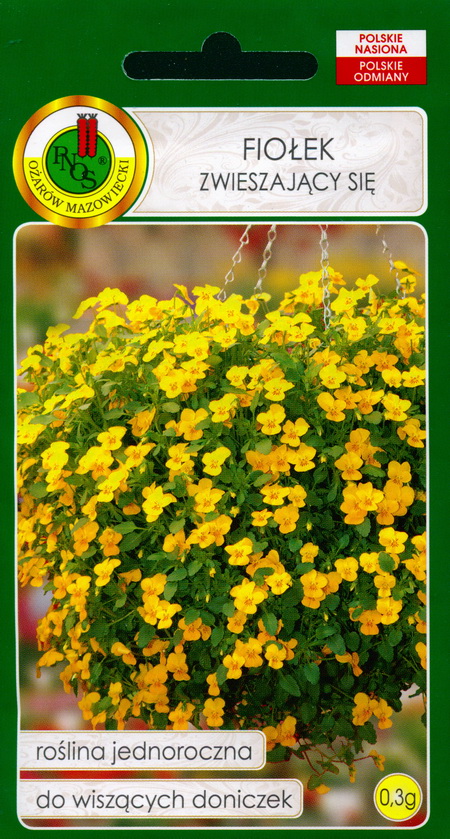 Trailing pansy Yellow : seeds