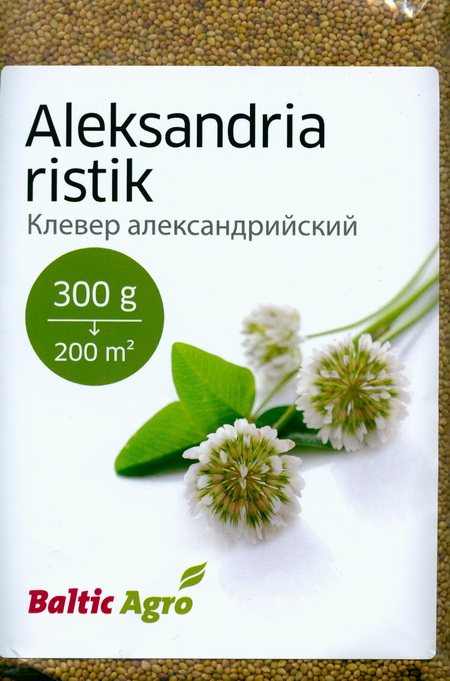 Aleksandria ristik Alex : seemned : osta Eestis