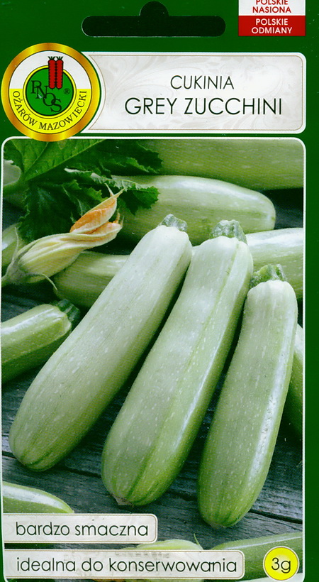 Squash Grey Zucchini : seeds