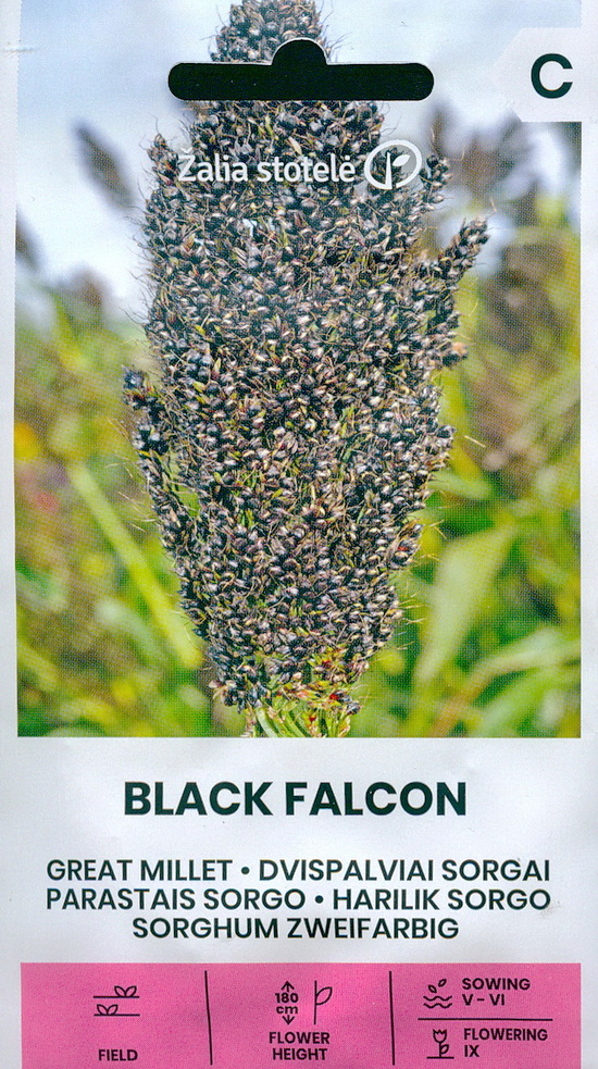 Great millet Black Falcon : seeds