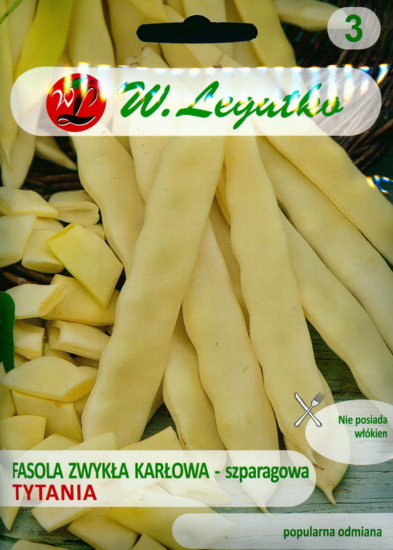 Bush bean Tytania : seeds