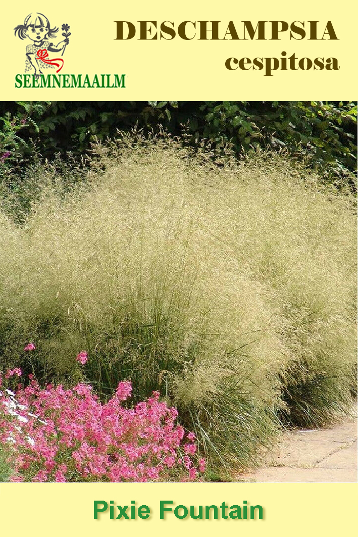 Nurmilauha Pixie Fountain : siemenet : osta verkosta