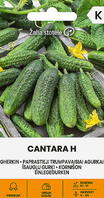 Pickling Cucumber Cantara F1: Crispy Gherkins & Vodka Recipe