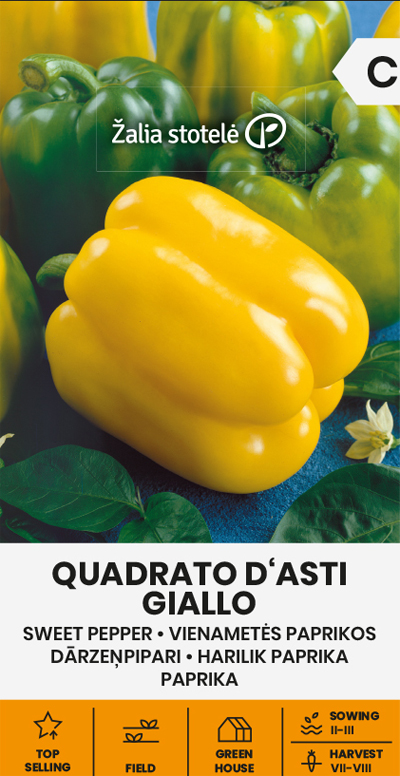 Pepper Quadrato D'Asti Giallo: Huge Yellow Fruit (Seeds)