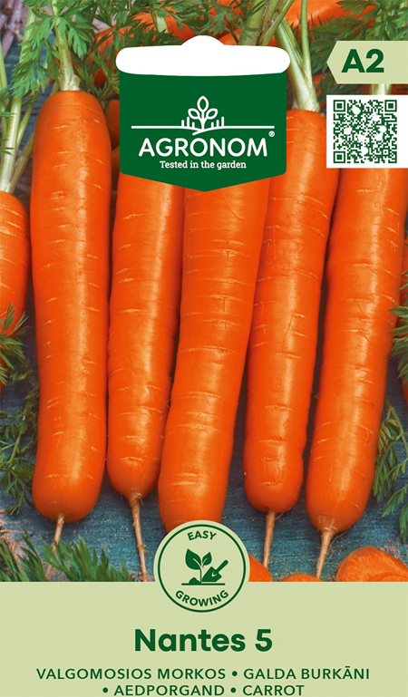 Möhre Nantes 5: Süß & Lagerfähig (Samen)