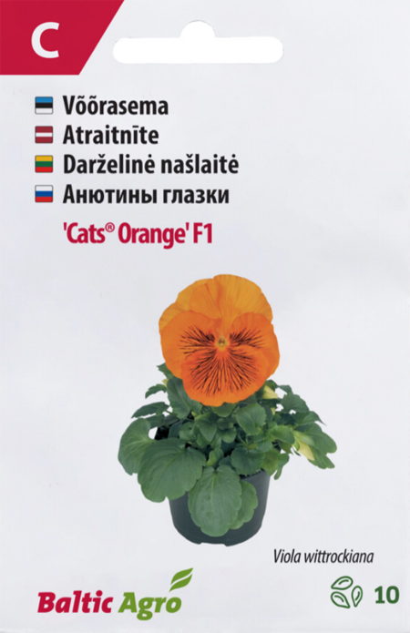Pansy Cats Orange F1: Unique Whiskered Blooms (Seeds)
