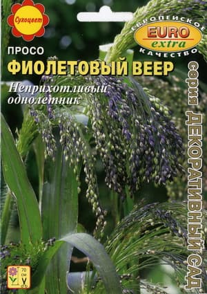 Hirss violetne Panicum violaceum