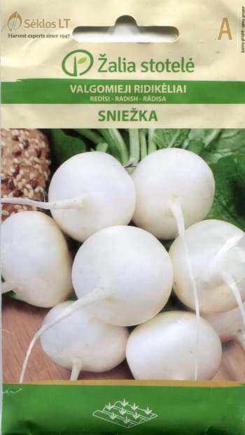 White Radish Sniezka : seeds